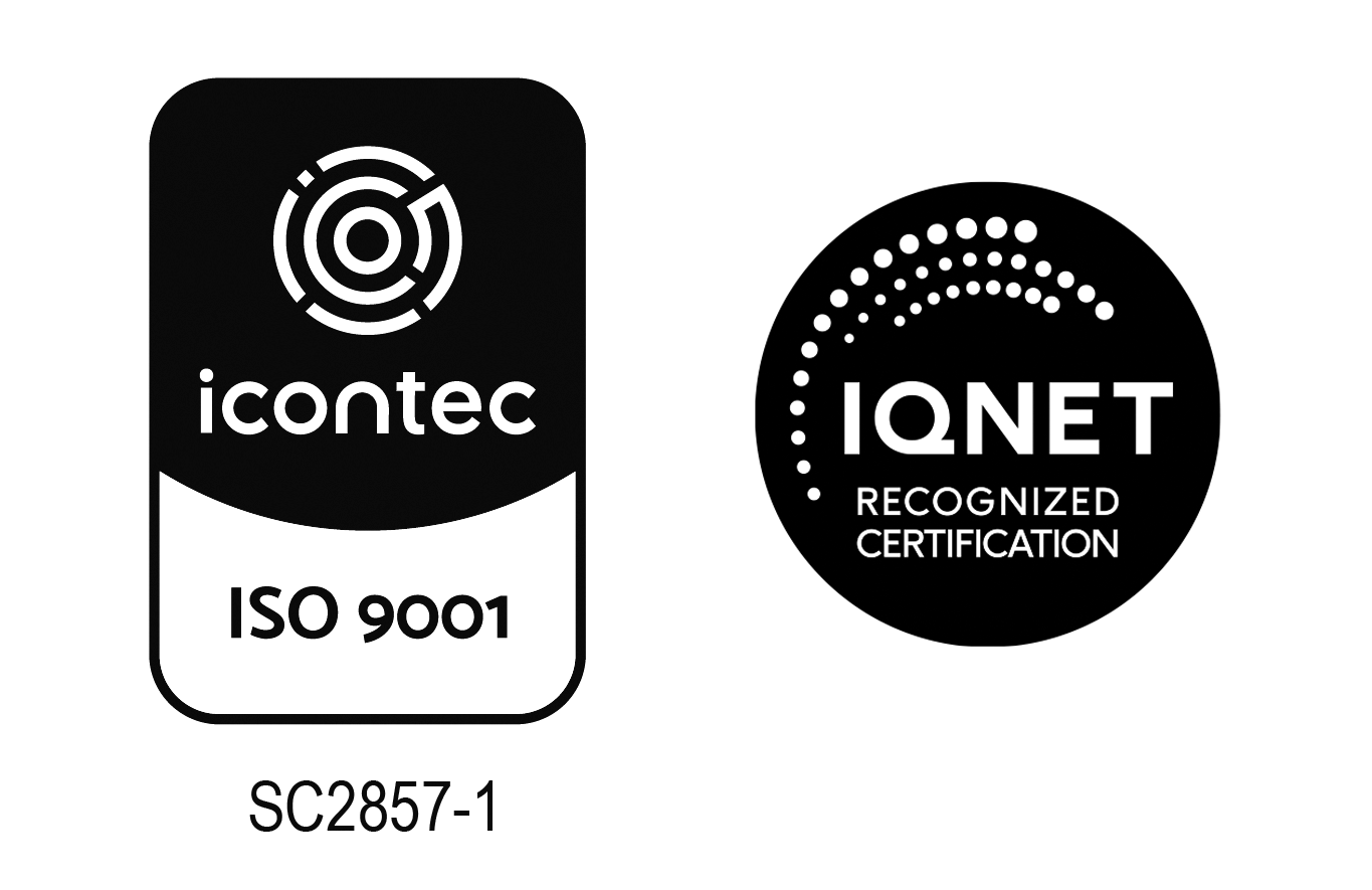 MTM - Francisco Rocha